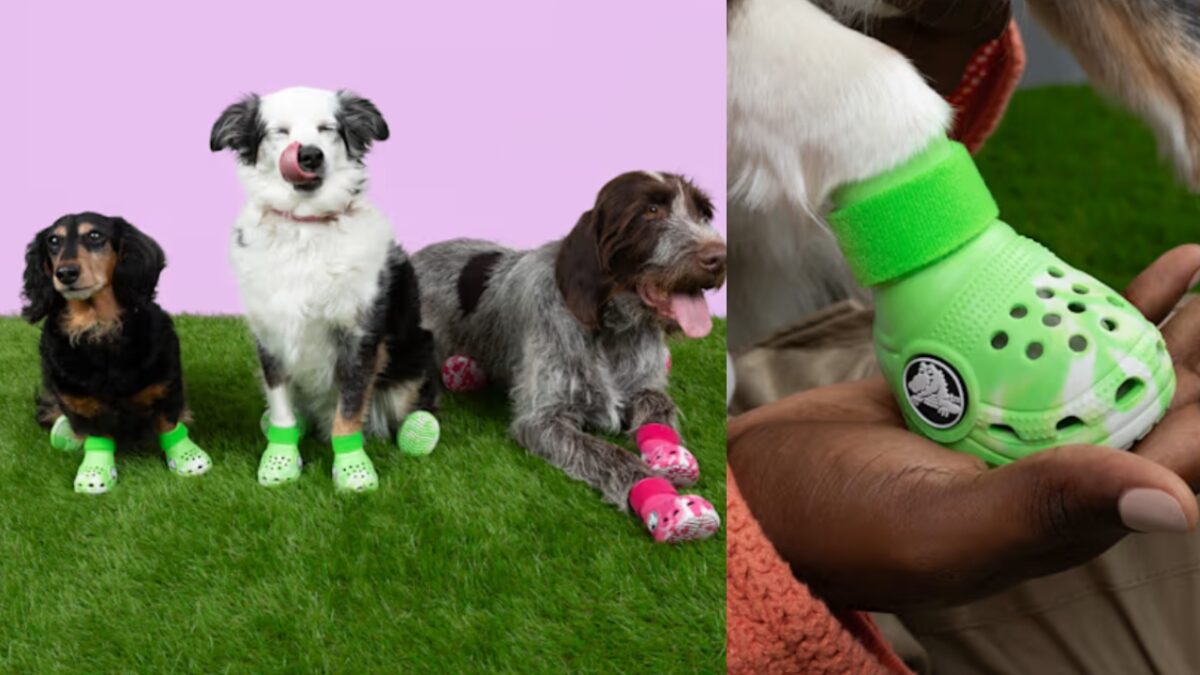 Crocs lanza su nueva colección para perros-
